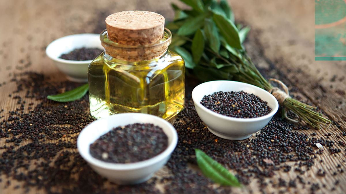 How is Becel made? | Our Simple and Delicious Formula