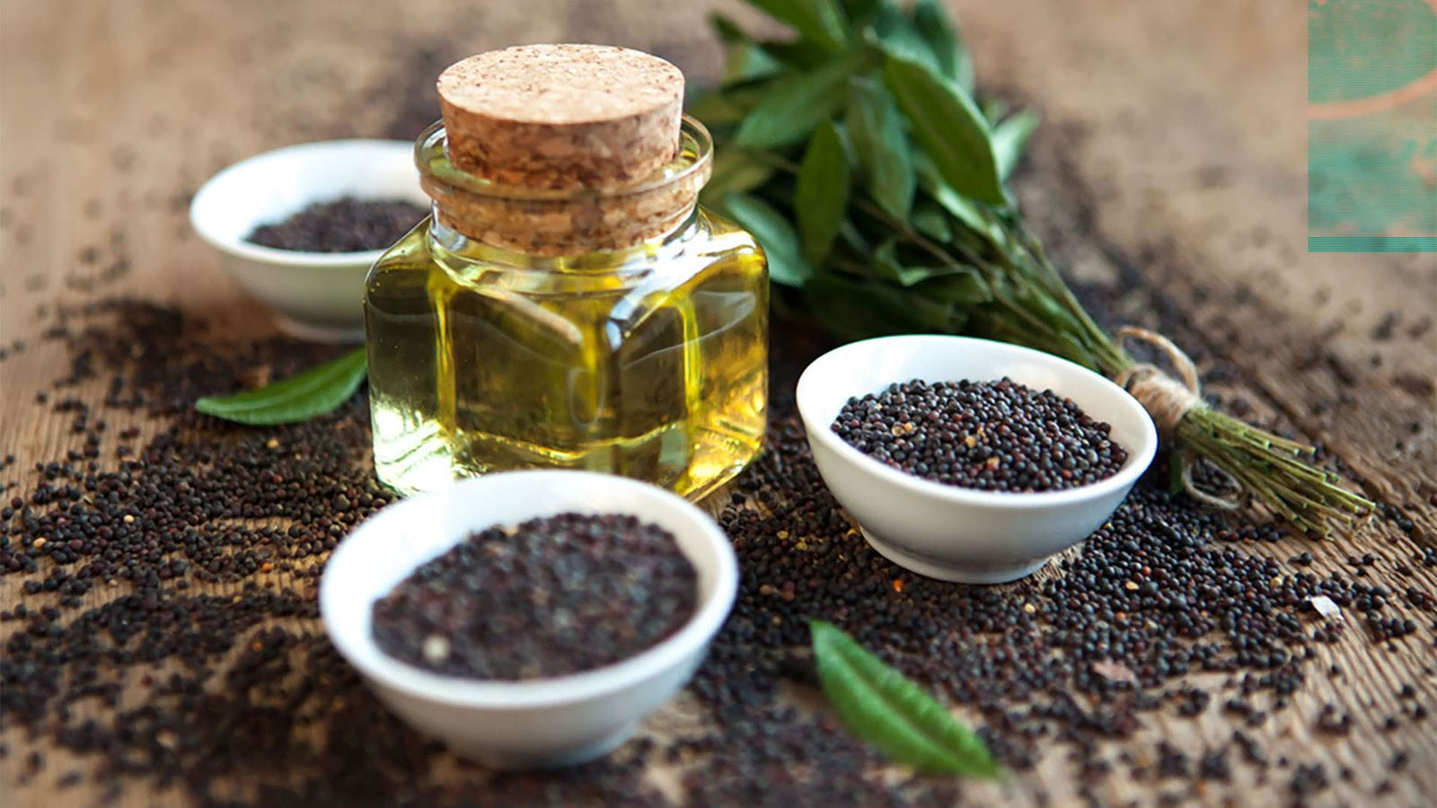 How is Becel made? | Our Simple and Delicious Formula