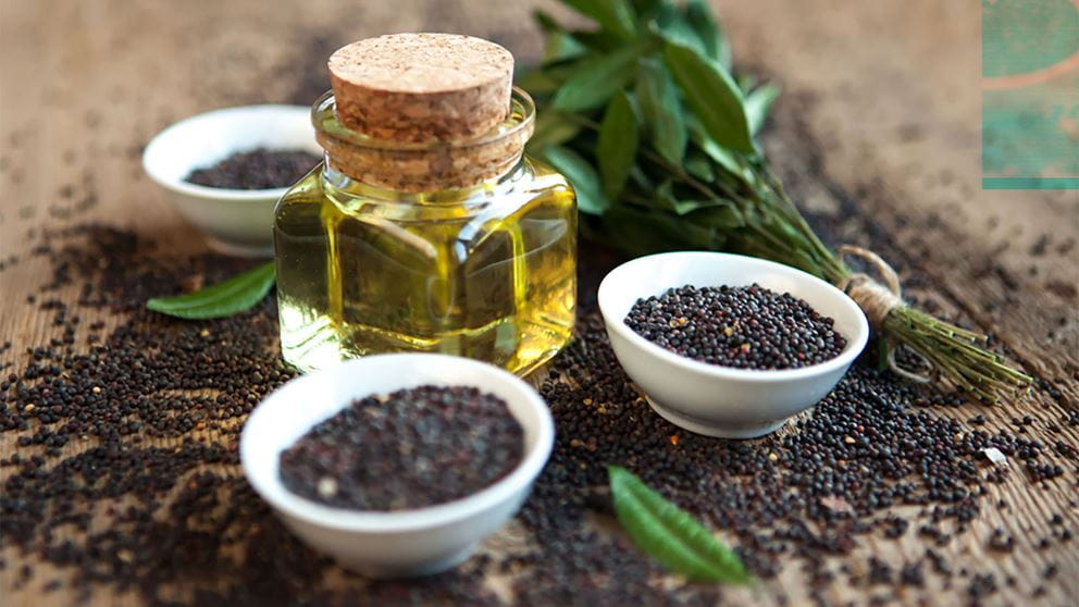 How is Becel made? | Our Simple and Delicious Formula